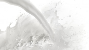 Foodbusiness.nl - Grondstoffen