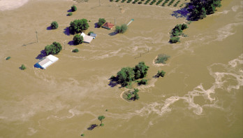 Foodbusiness: marktinformatie voor food professionals